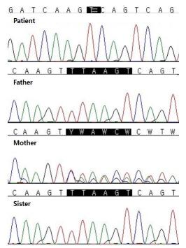 대한소아청소년과학회